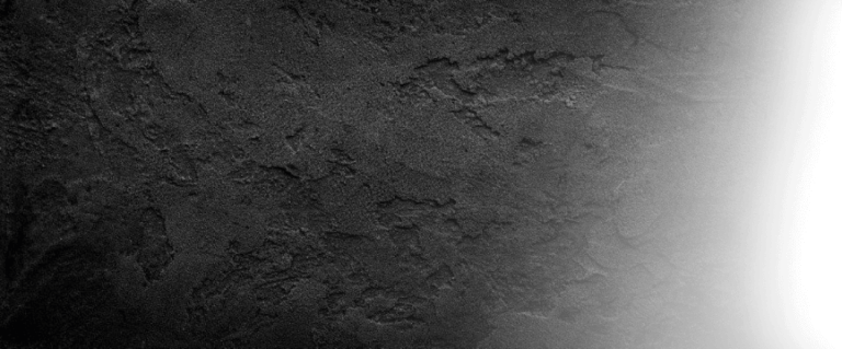 Cat Performance Handbook - Download the Latest PDF